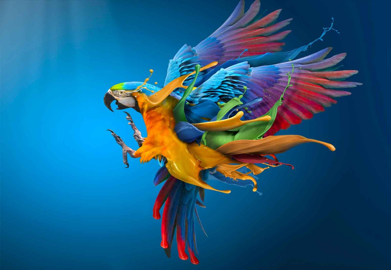 Parrot Wall Paper Mural | Buy at EuroPosters