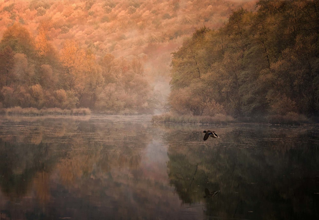 Flying Reflection Wall Paper Mural | Buy at EuroPosters