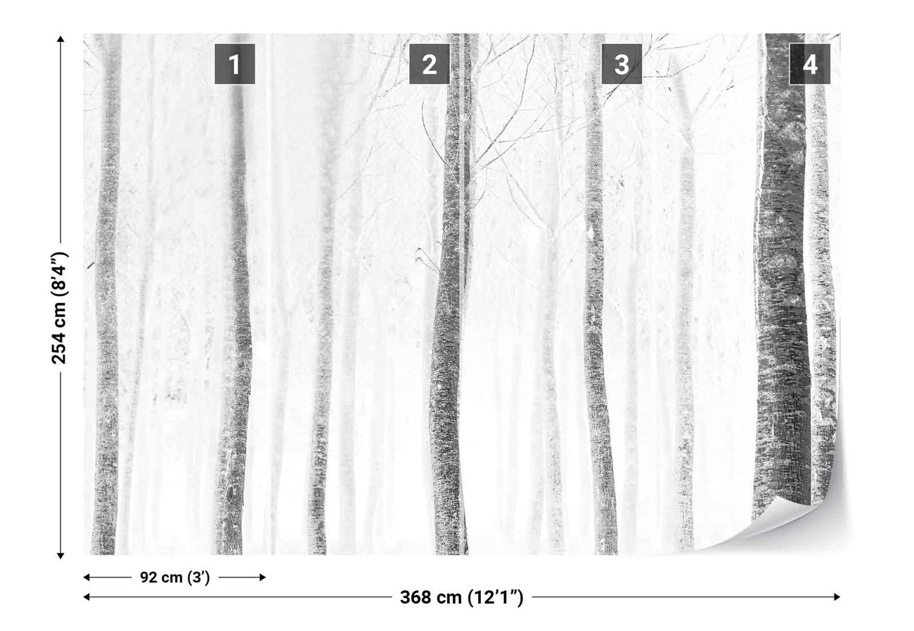 Forest Wall Paper Mural | Buy at EuroPosters