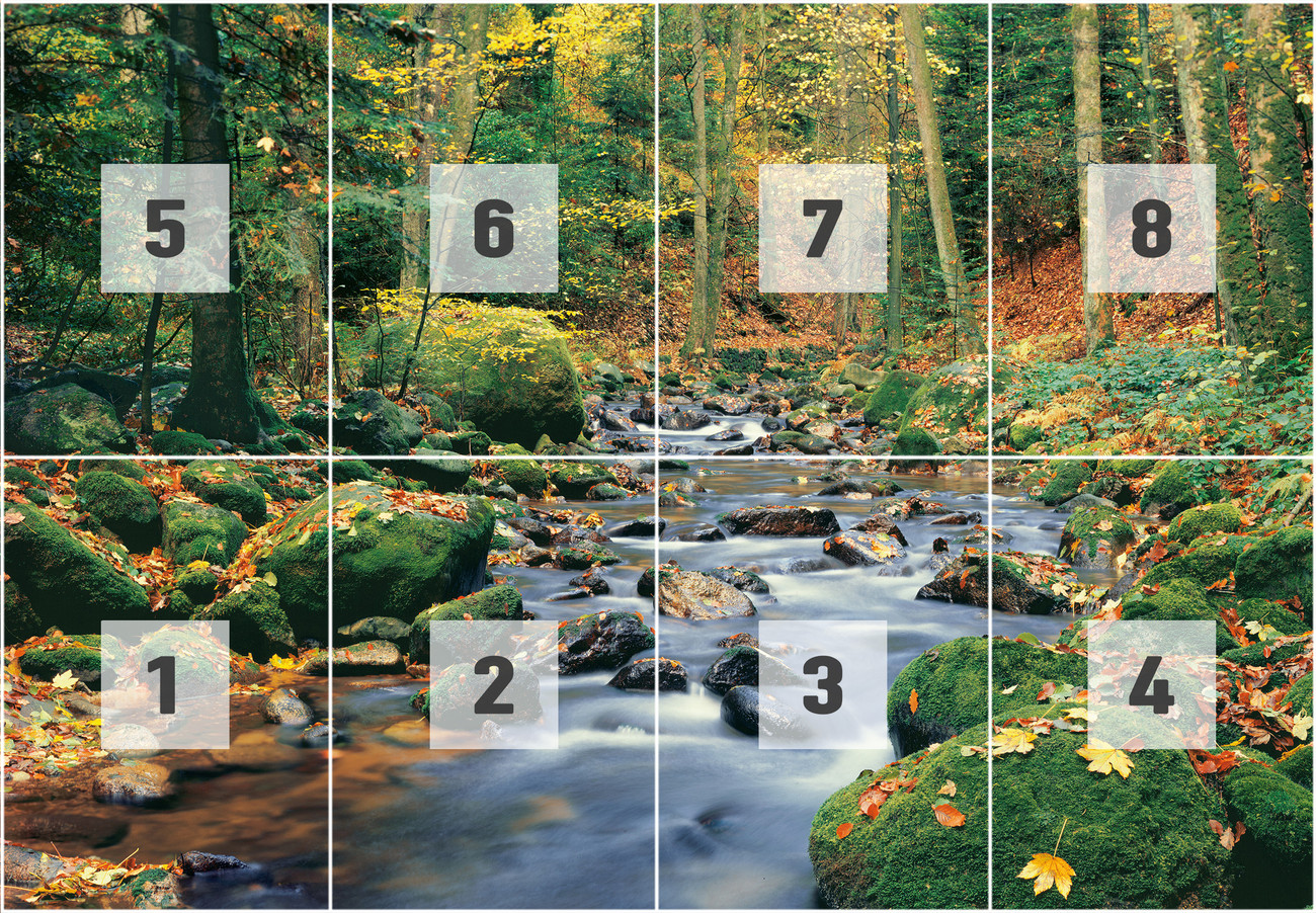 FOREST STREAM Wall Mural | Buy online at Europosters
