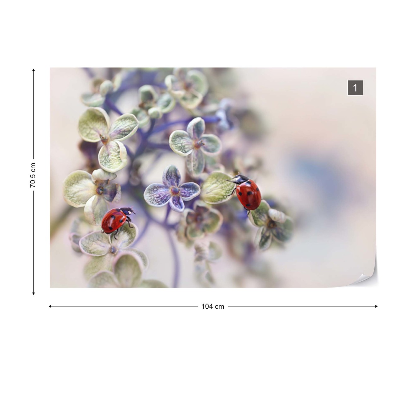 Fragile Wall Paper Mural | Buy at EuroPosters