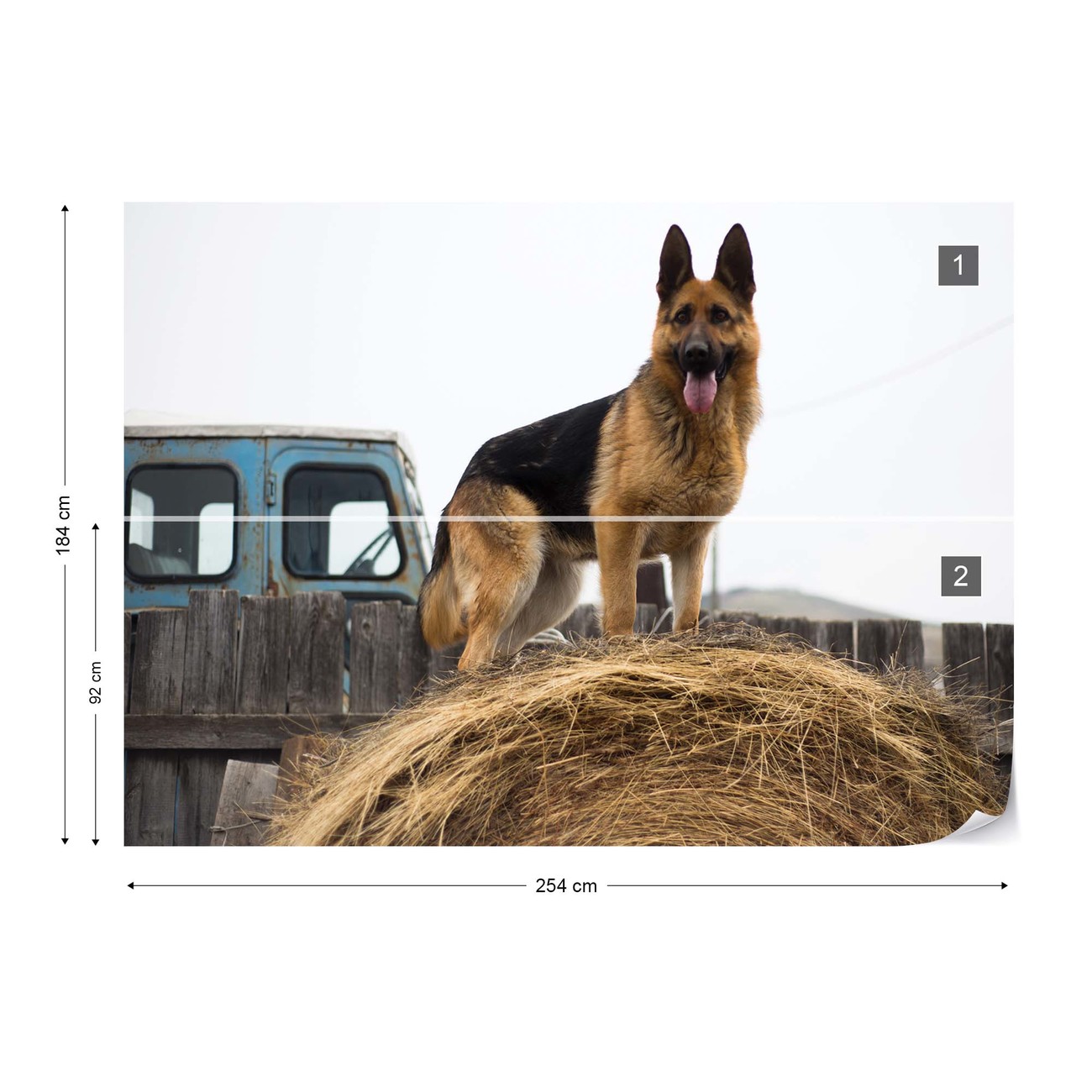 German Shepherd Dog Wall Paper Mural | Buy at EuroPosters