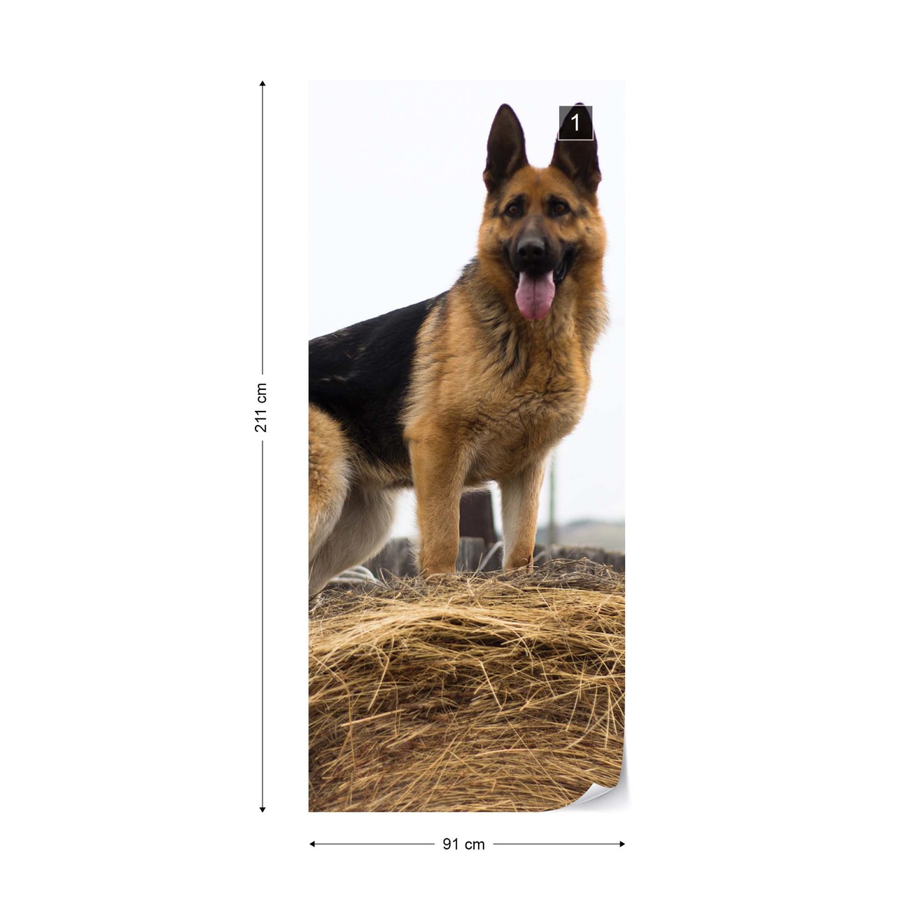 German Shepherd Dog Wall Paper Mural | Buy at EuroPosters