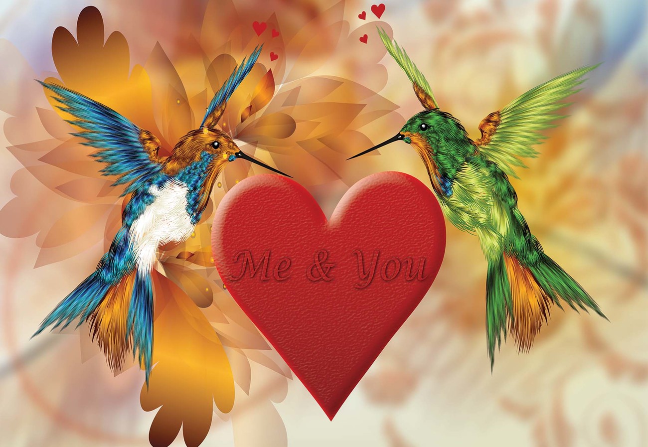 Hummingbird Heart Wall Paper Mural | Buy at EuroPosters