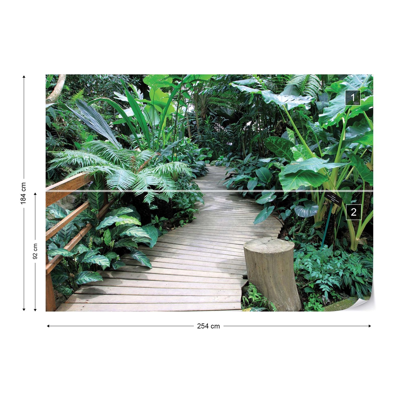 Jungle Path Wall Paper Mural | Buy at EuroPosters