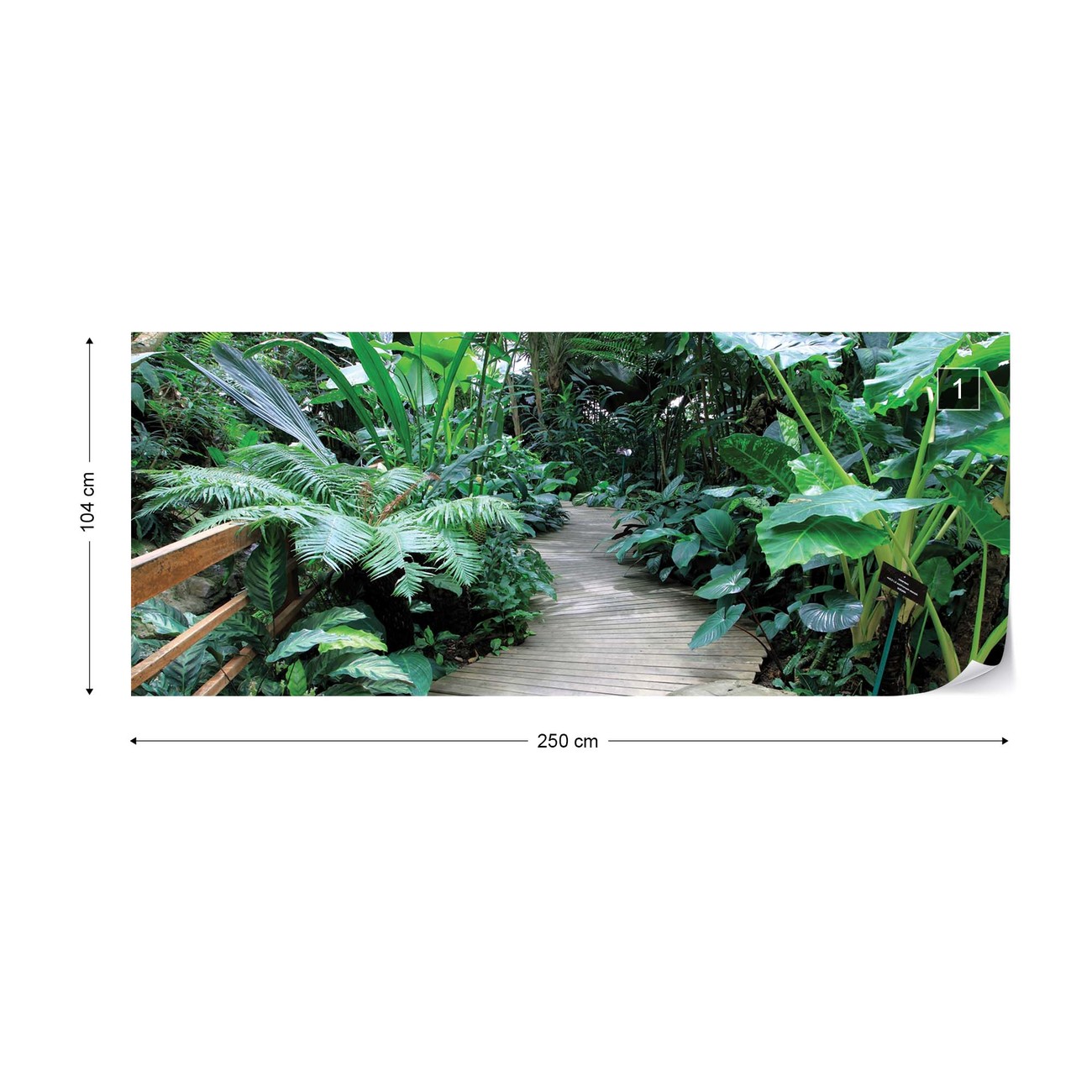 Jungle Path Wall Paper Mural | Buy at EuroPosters