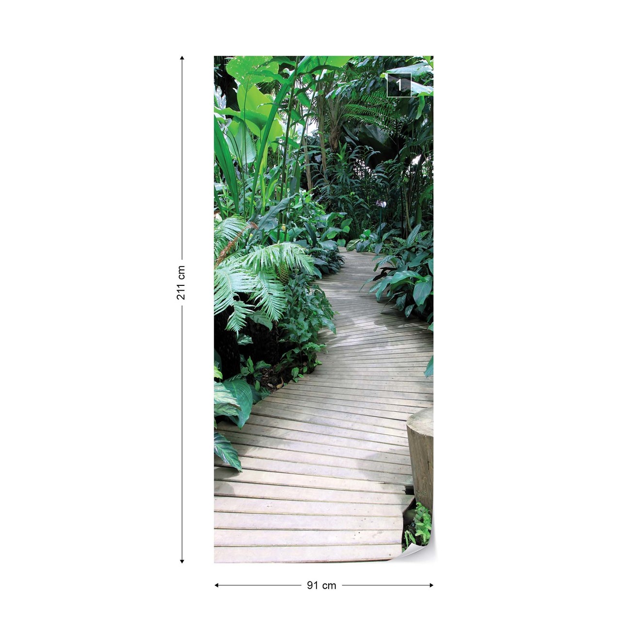 Jungle Path Wall Paper Mural | Buy at EuroPosters
