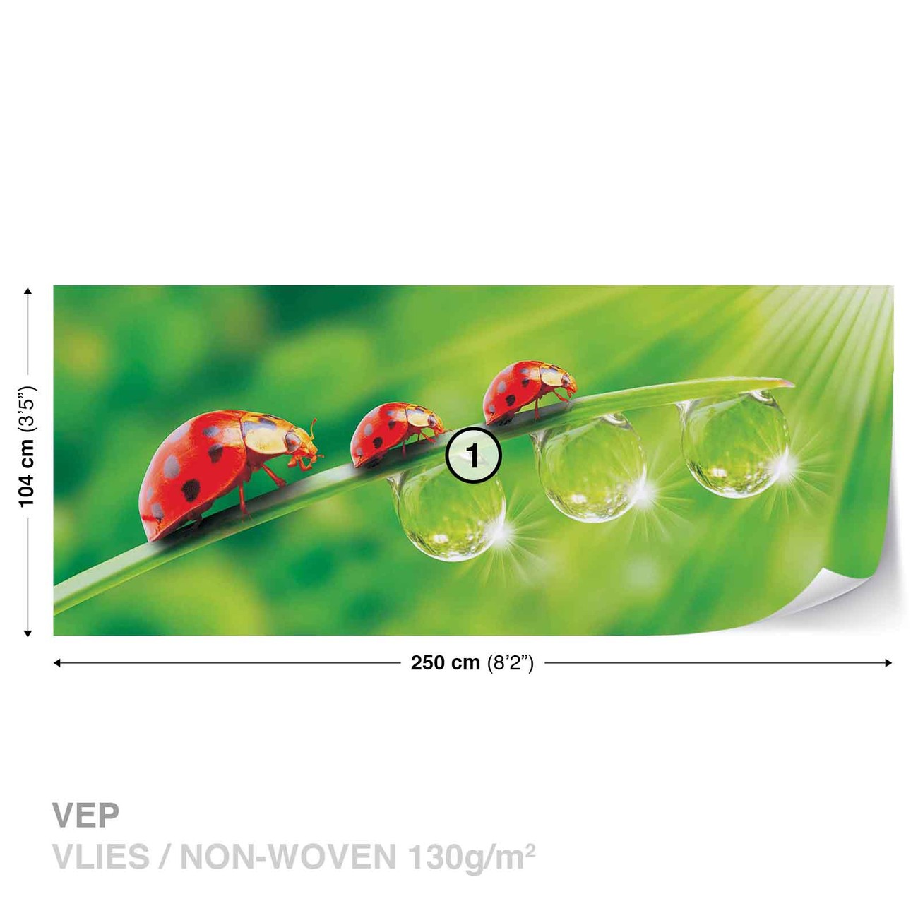 Ladybird Wall Paper Mural | Buy at EuroPosters