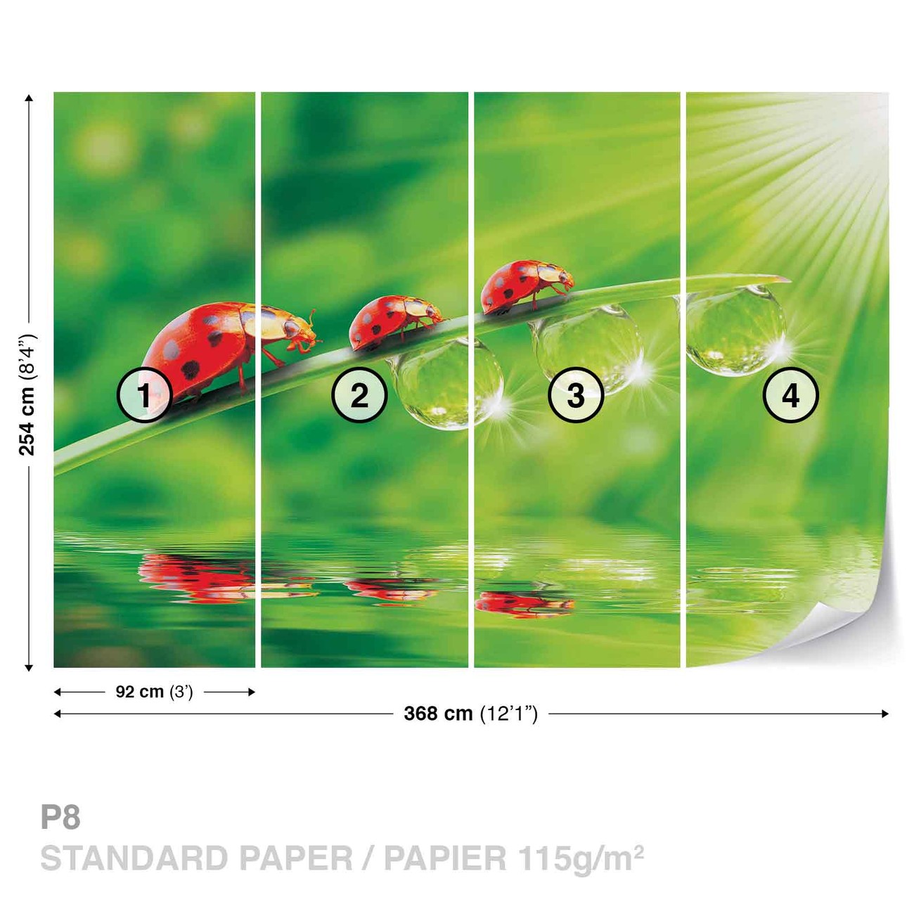 Ladybird Wall Paper Mural | Buy at EuroPosters