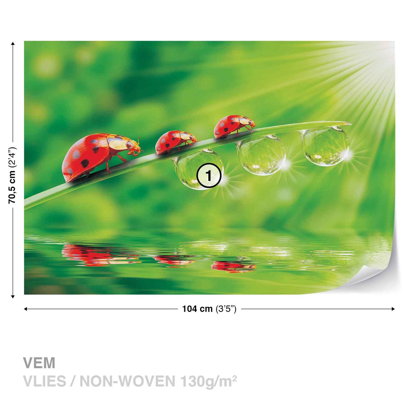 Ladybird Wall Paper Mural | Buy at EuroPosters