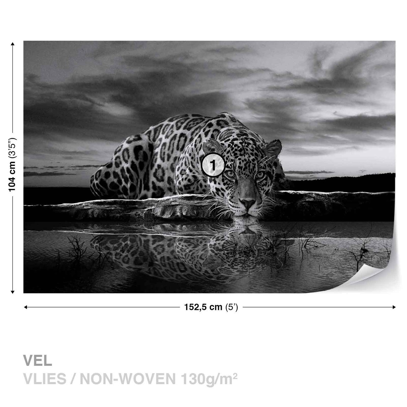 Leopard Feline Reflection Black Wall Paper Mural | Buy at EuroPosters