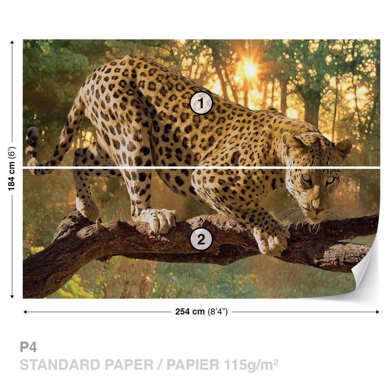 Leopard Wall Paper Mural | Buy at EuroPosters