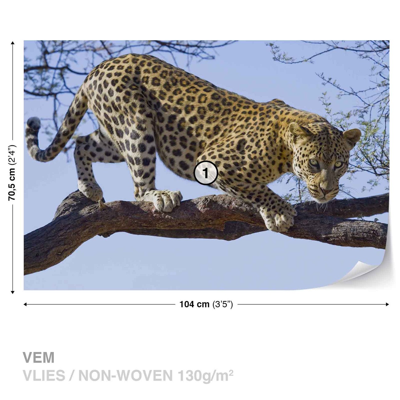 Leopard Tree Wall Paper Mural | Buy at EuroPosters