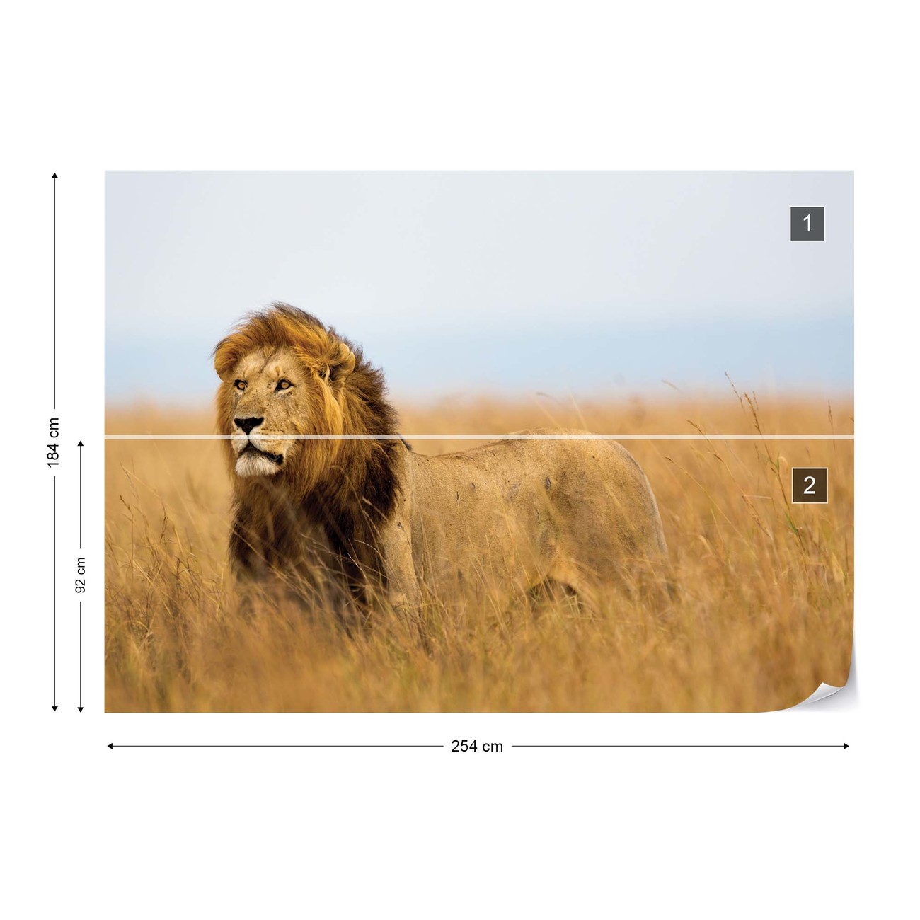 Lion Wall Paper Mural | Buy at EuroPosters