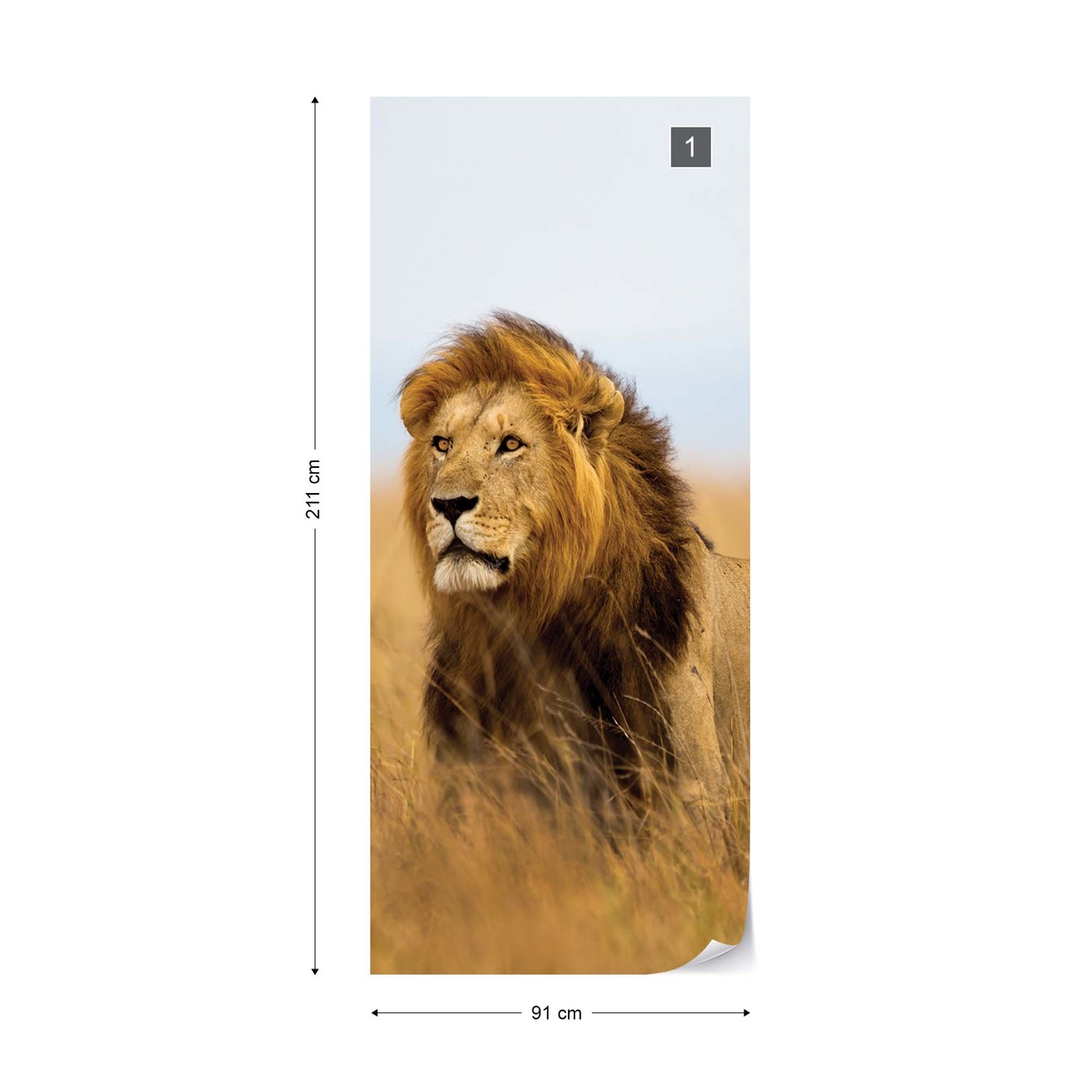 Lion Wall Paper Mural | Buy at EuroPosters