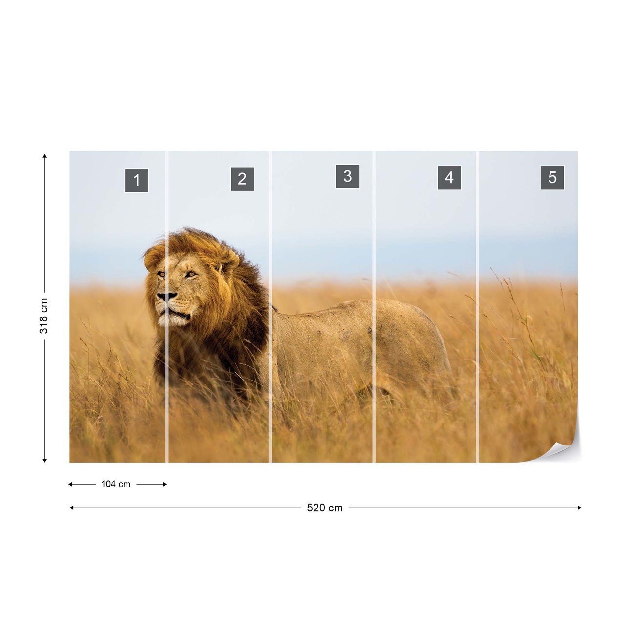 Lion Wall Paper Mural | Buy at EuroPosters