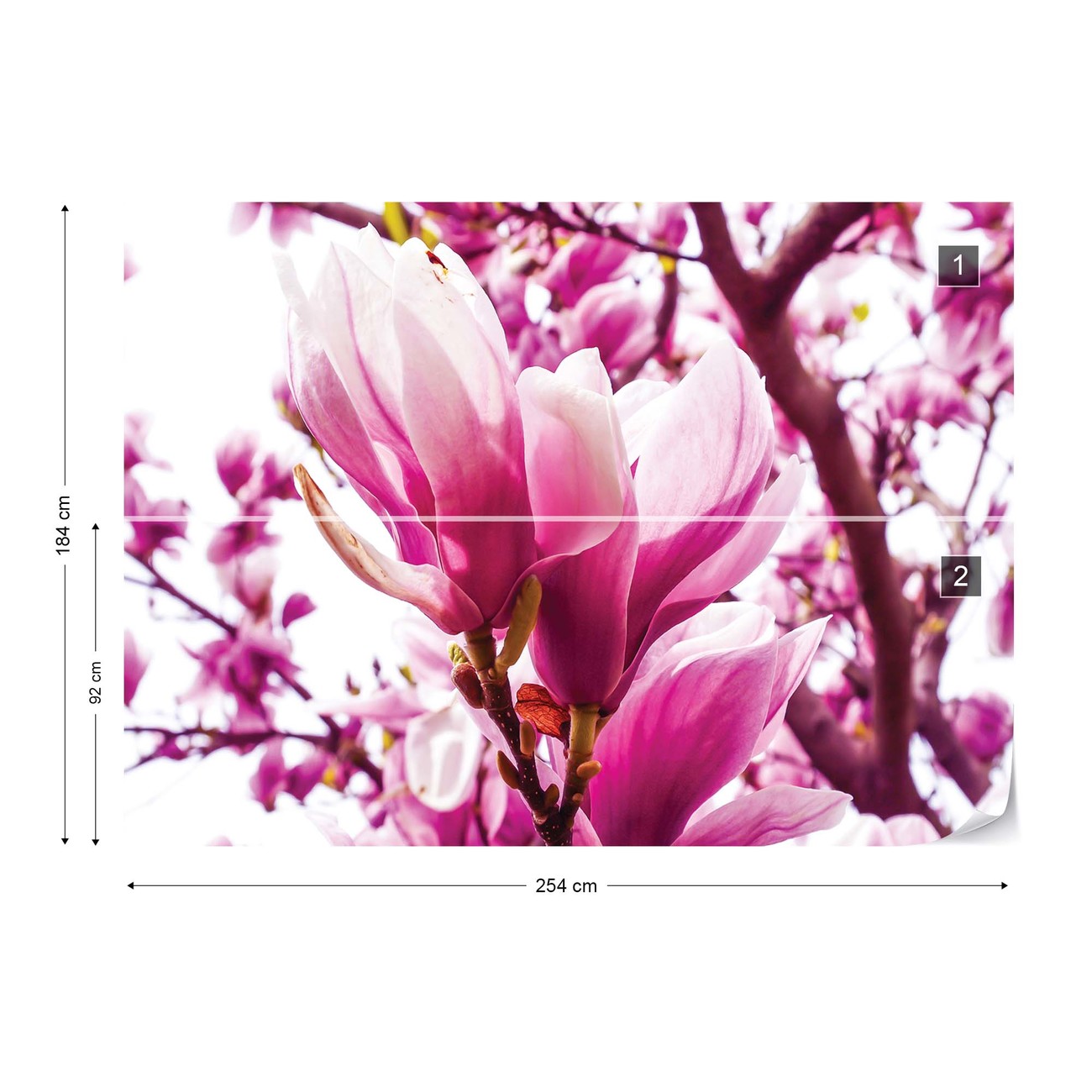 Magnolia Tree Wall Paper Mural | Buy at EuroPosters