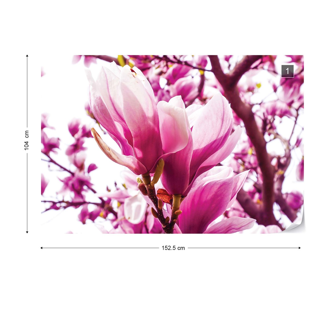 Magnolia Tree Wall Paper Mural | Buy at EuroPosters