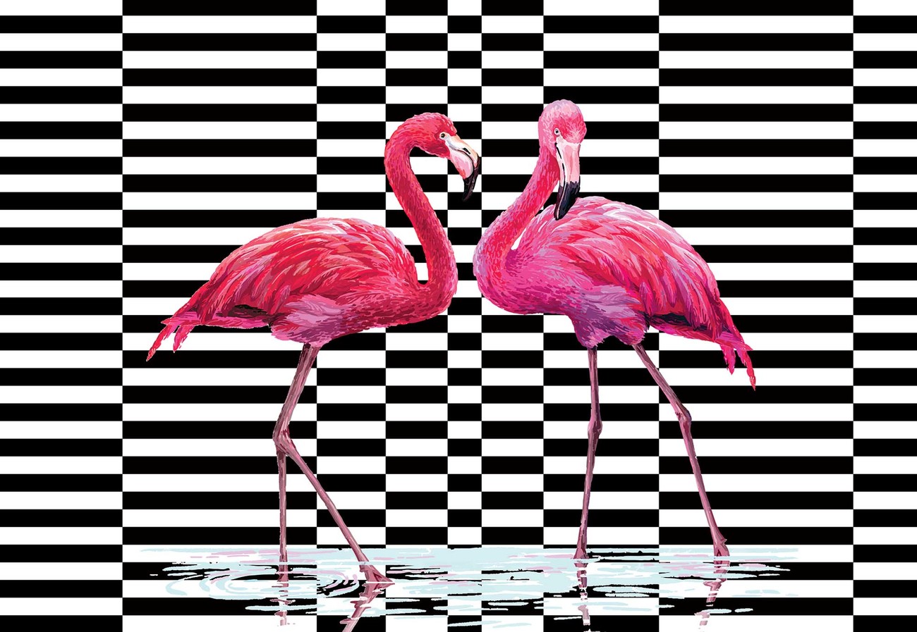 Modern Tropical Flamingos Wall Paper Mural | Buy at EuroPosters