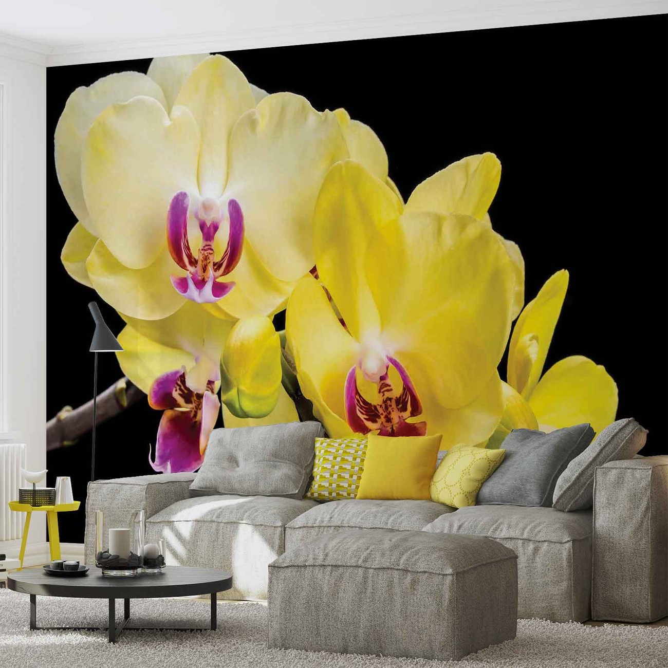 Orchid Flowers Wall Paper Mural | Buy at EuroPosters