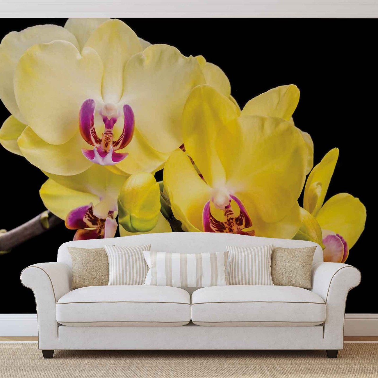 Orchid Flowers Wall Paper Mural | Buy at EuroPosters