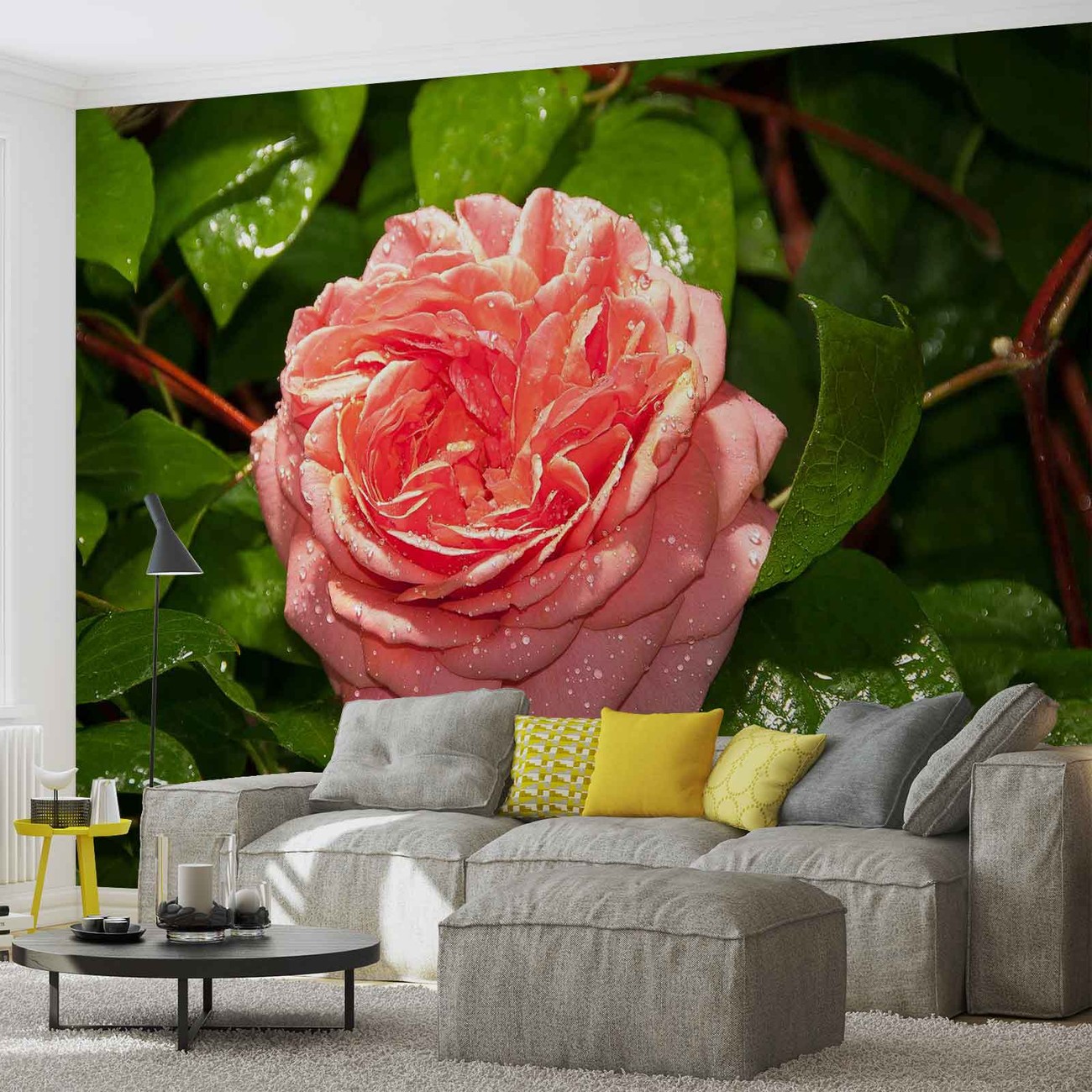Pink Rose Wall Paper Mural | Buy at EuroPosters