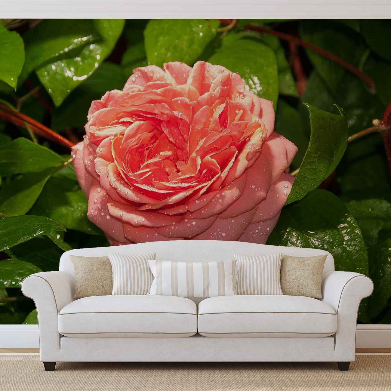 Pink Rose Wall Paper Mural | Buy at EuroPosters