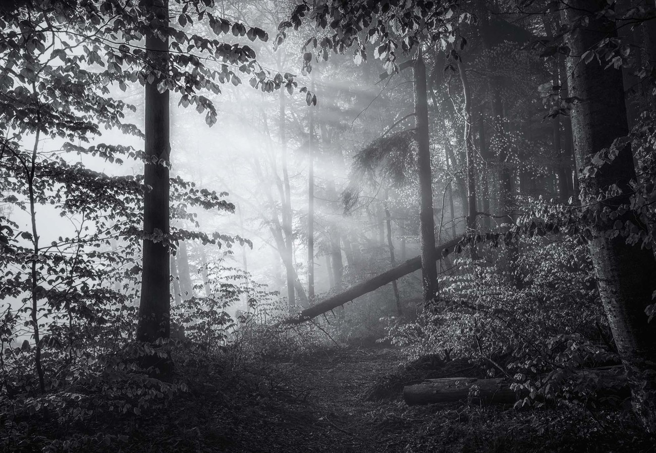 Point Of No Return Wall Paper Mural | Buy at EuroPosters