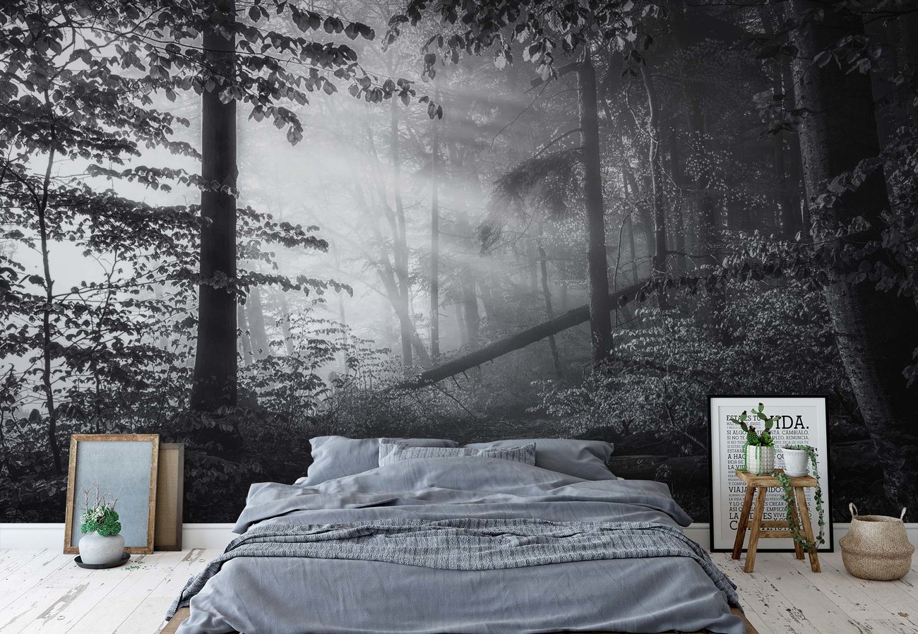 Point Of No Return Wall Paper Mural | Buy at EuroPosters
