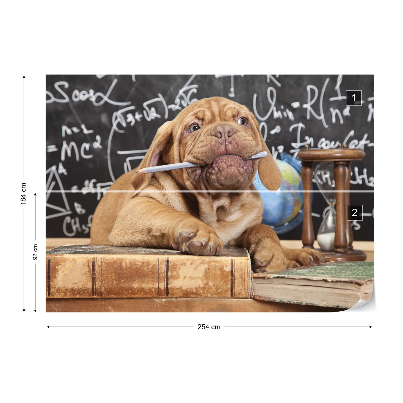 Puppy Professor Wall Paper Mural | Buy at EuroPosters