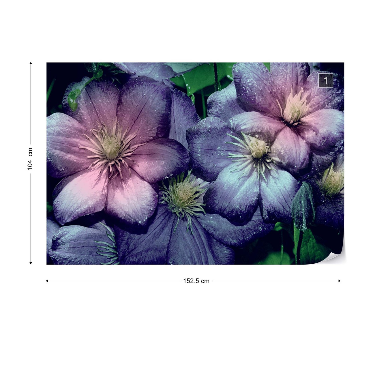 Purple Flowers Wall Paper Mural | Buy at EuroPosters