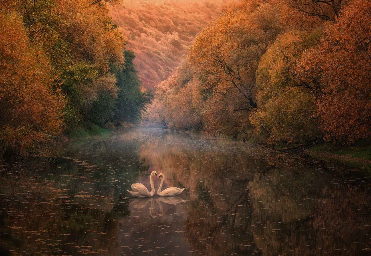 Romantic River Wall Paper Mural | Buy at EuroPosters
