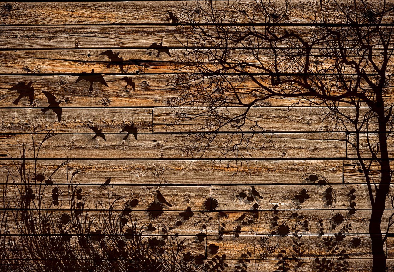 Rustic Birds And Tree Silhouette Wood Plank Texture Wall Paper Mural ...