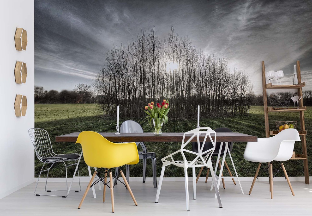 Sticky Trees Wall Paper Mural | Buy at EuroPosters