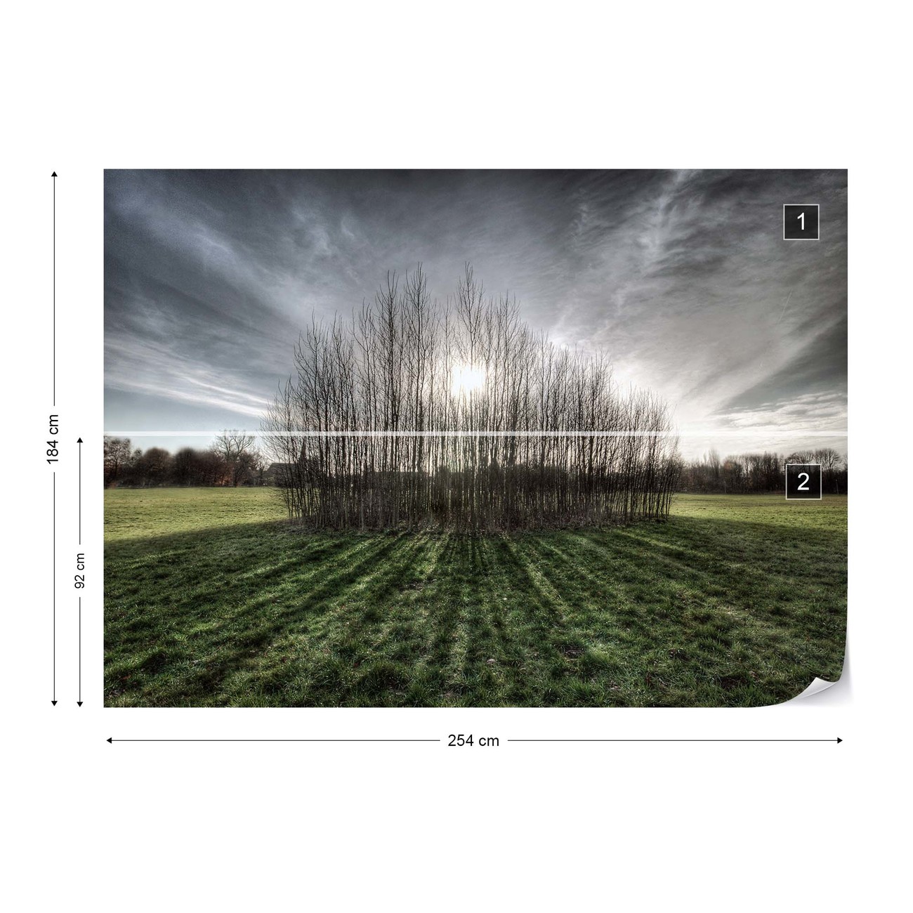 Sticky Trees Wall Paper Mural | Buy at EuroPosters