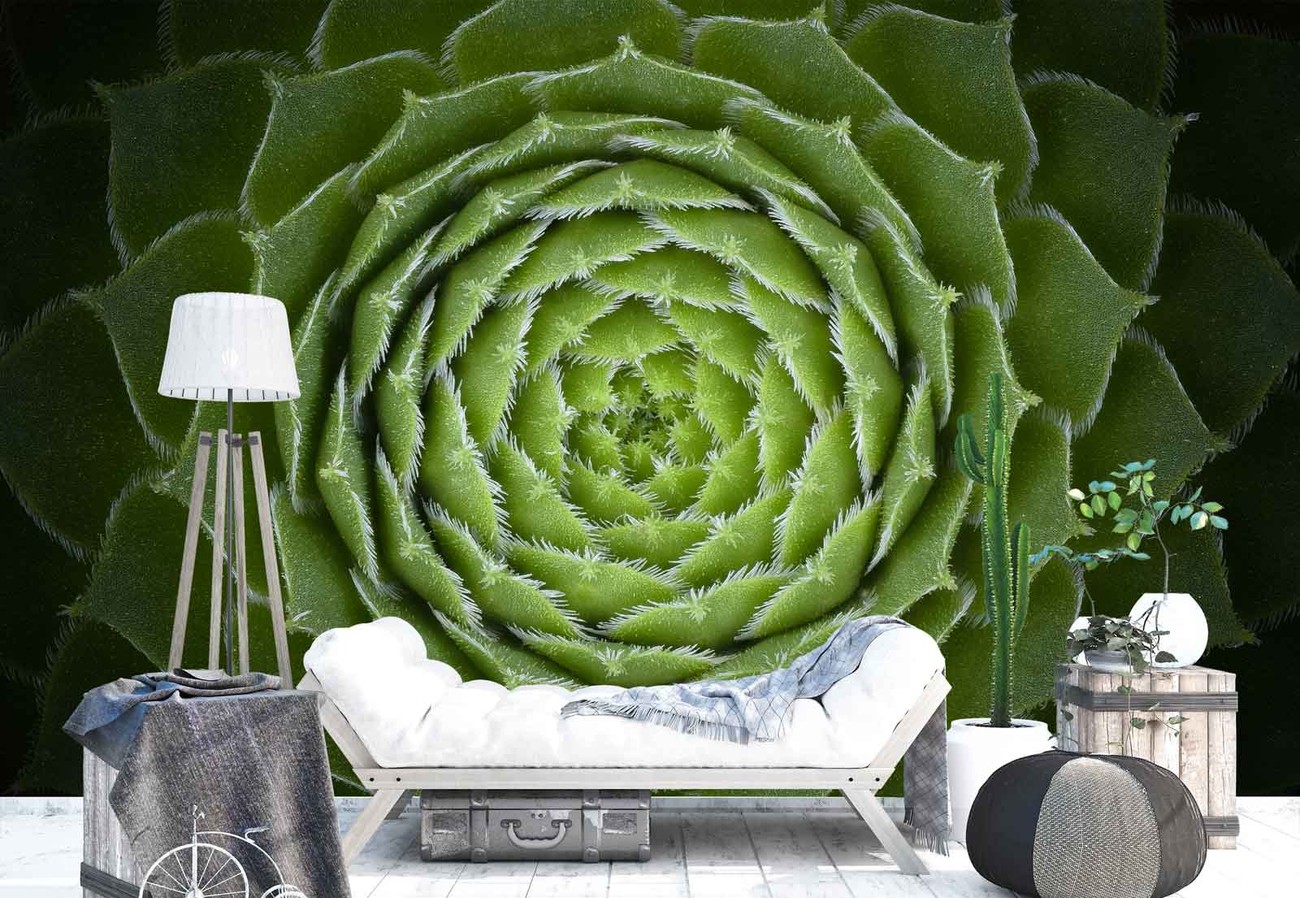 Cactus Wall Paper Mural | Buy at EuroPosters
