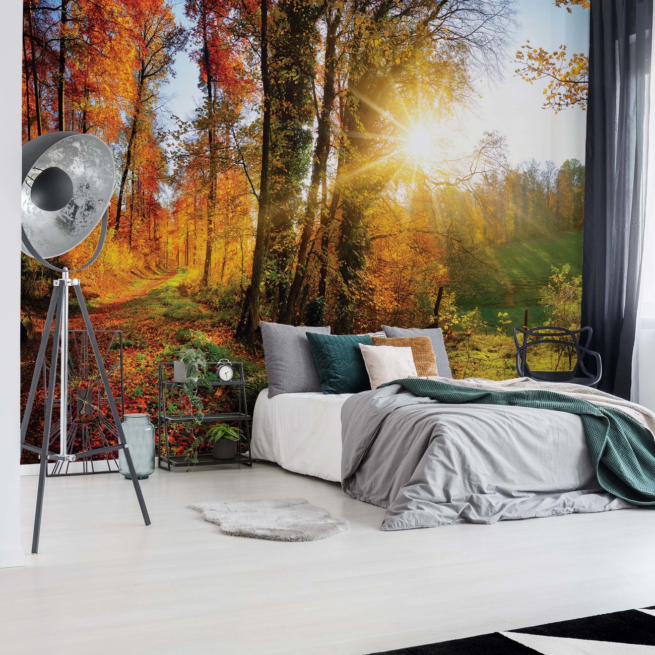 Sunrise In Autumn Forest Wall Paper Mural | Buy at EuroPosters