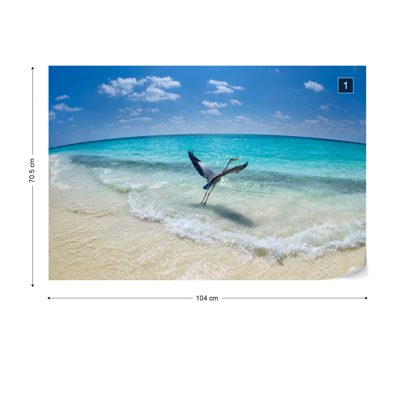 Take-Off Wall Paper Mural | Buy at EuroPosters