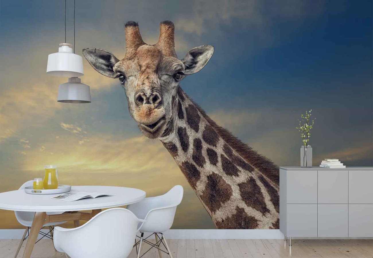 The Friendly Giant Wall Paper Mural | Buy at EuroPosters