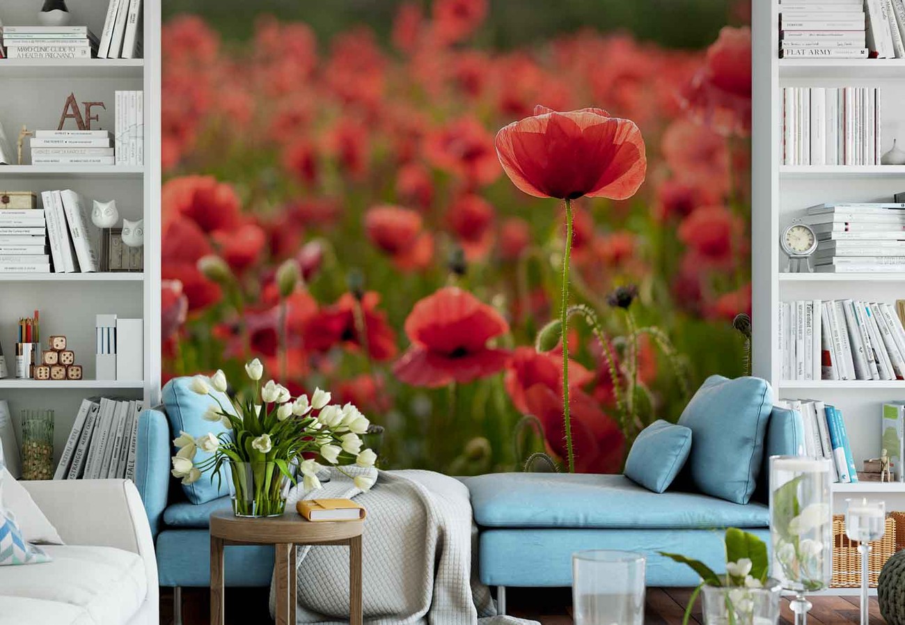 The Light Behind Wall Paper Mural | Buy at EuroPosters