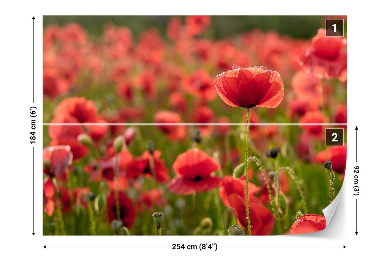 The Light Behind Wall Paper Mural | Buy at EuroPosters