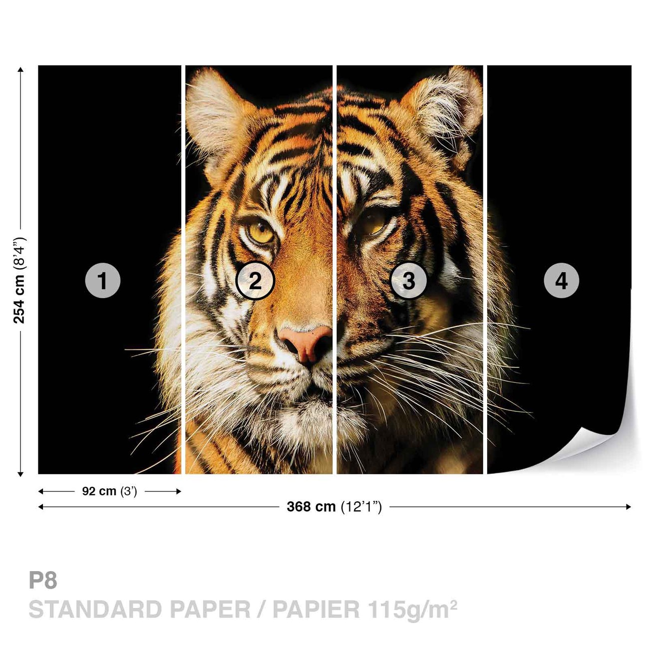 Tiger Wall Paper Mural | Buy at EuroPosters