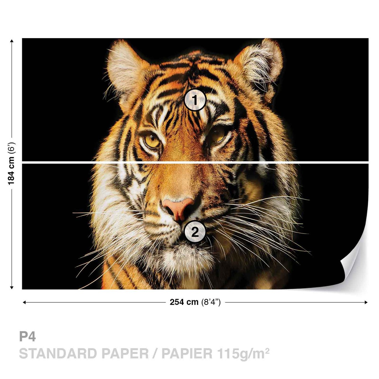 Tiger Wall Paper Mural | Buy at EuroPosters
