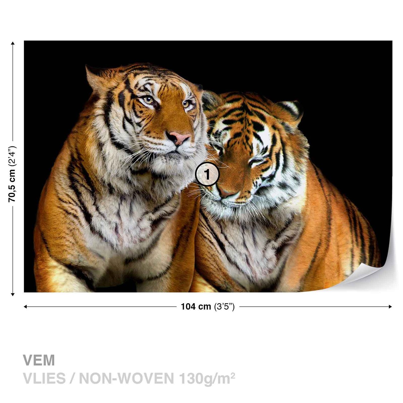 Tigers Wall Paper Mural | Buy at EuroPosters