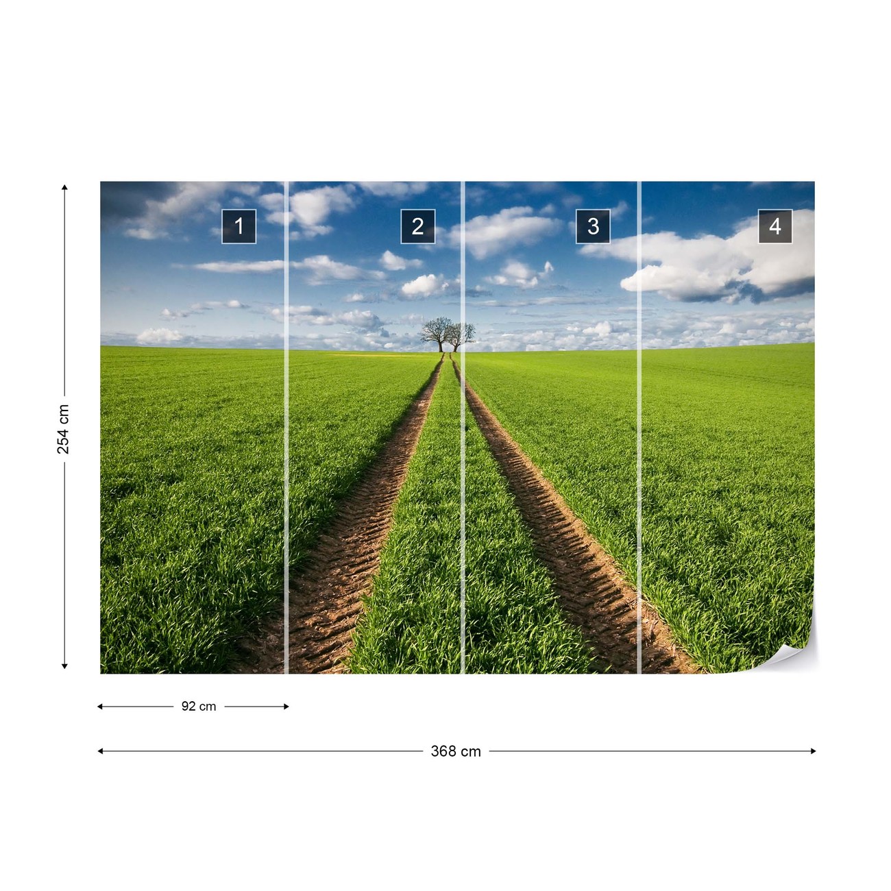 Trace & Trees Wall Paper Mural | Buy at EuroPosters