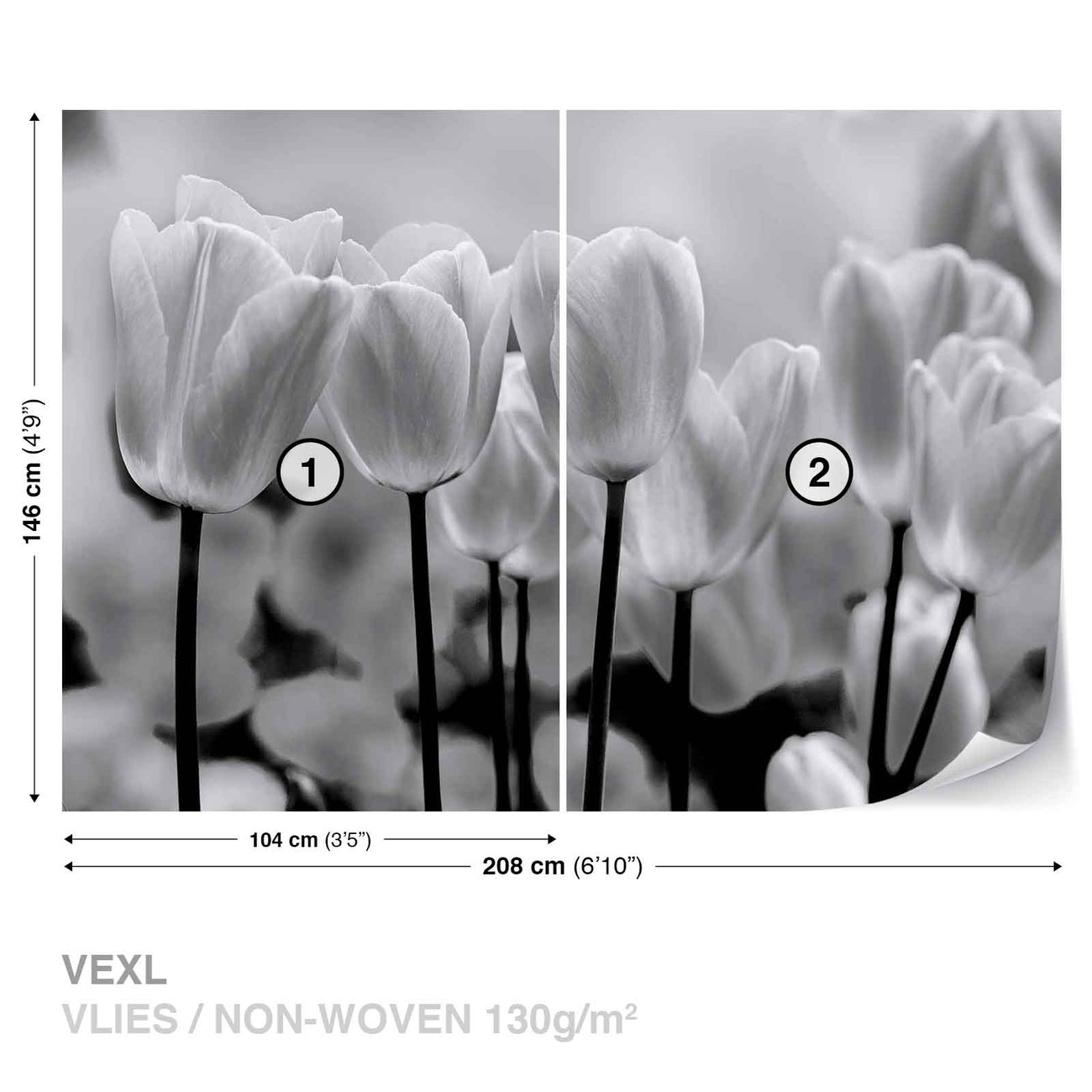 Tulip Flowers Wall Paper Mural | Buy at EuroPosters