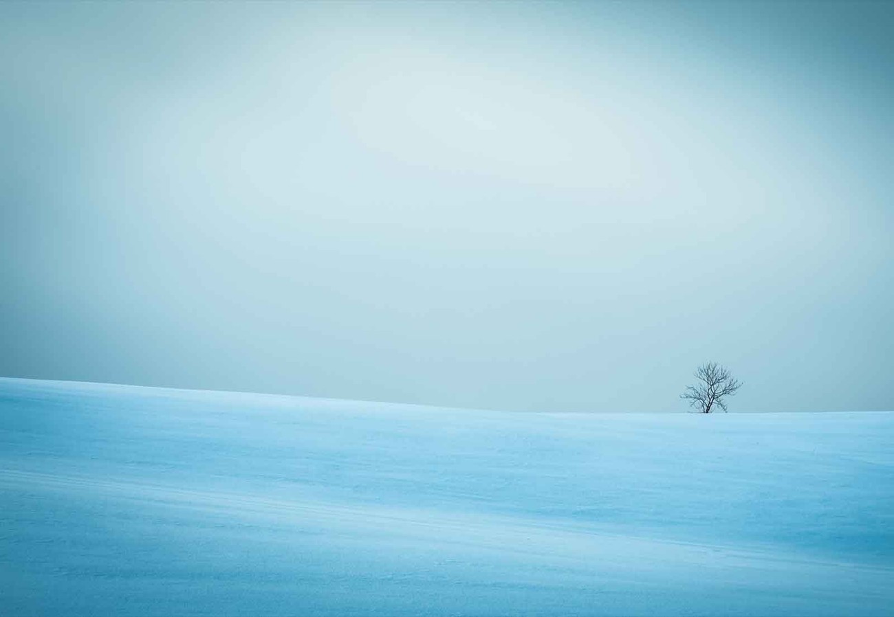 Winter In Solitude Wall Paper Mural | Buy at EuroPosters
