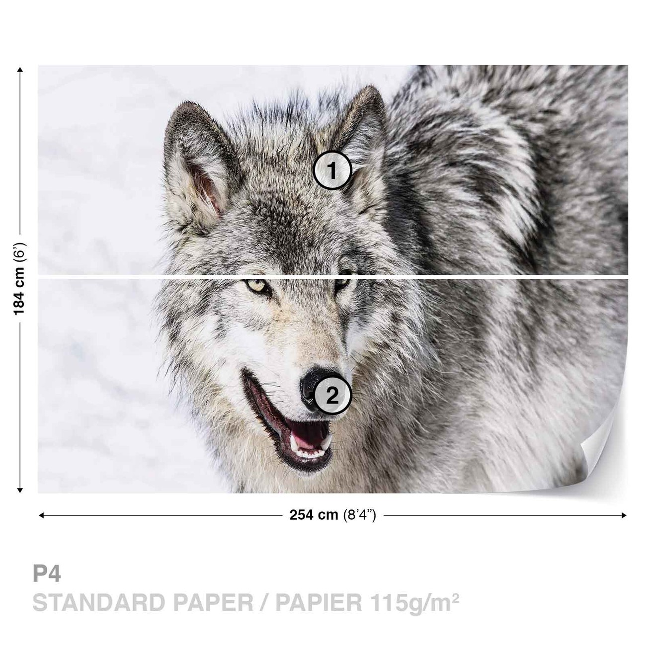 Wolf Animal Wall Paper Mural | Buy at EuroPosters