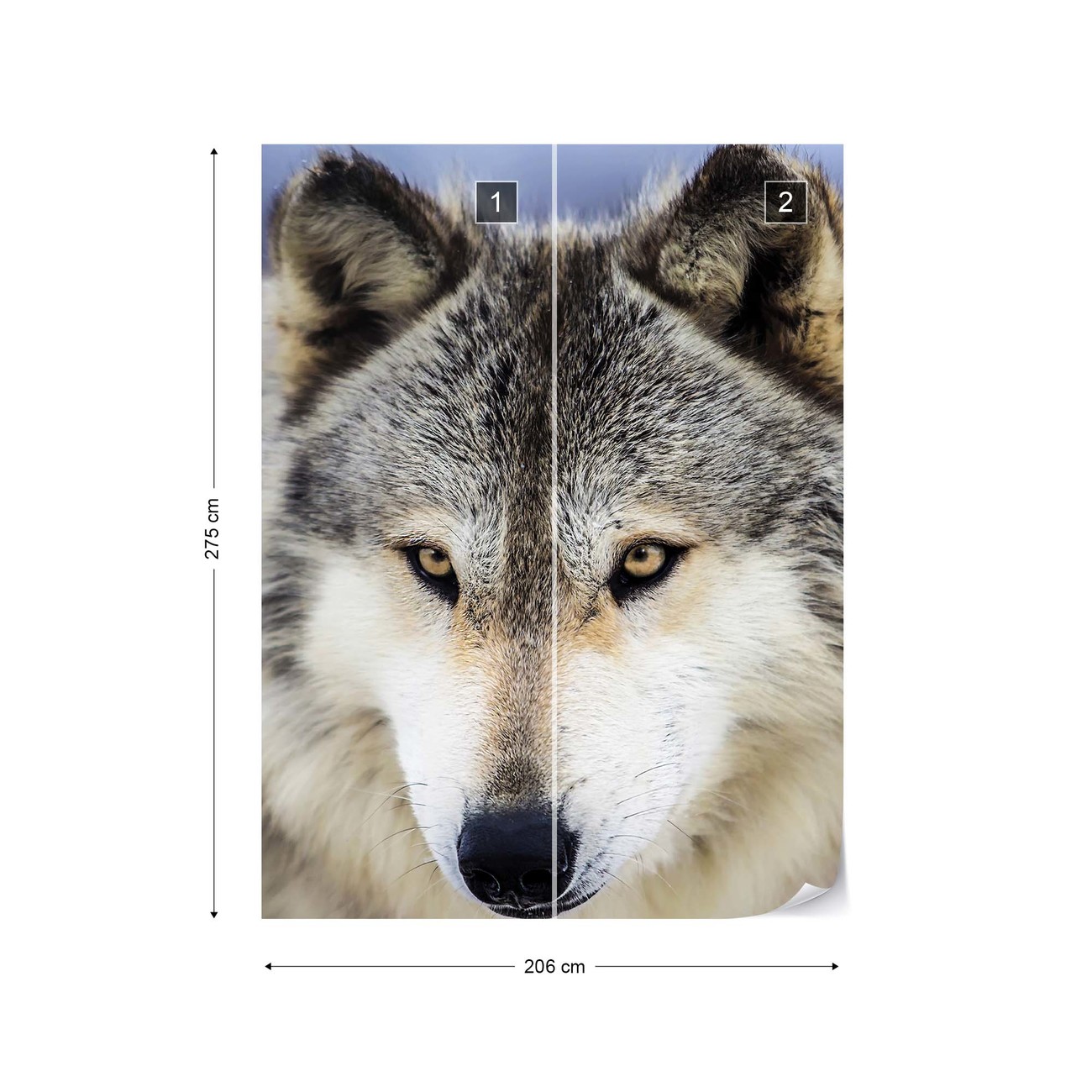 Wolf Wall Paper Mural | Buy at EuroPosters