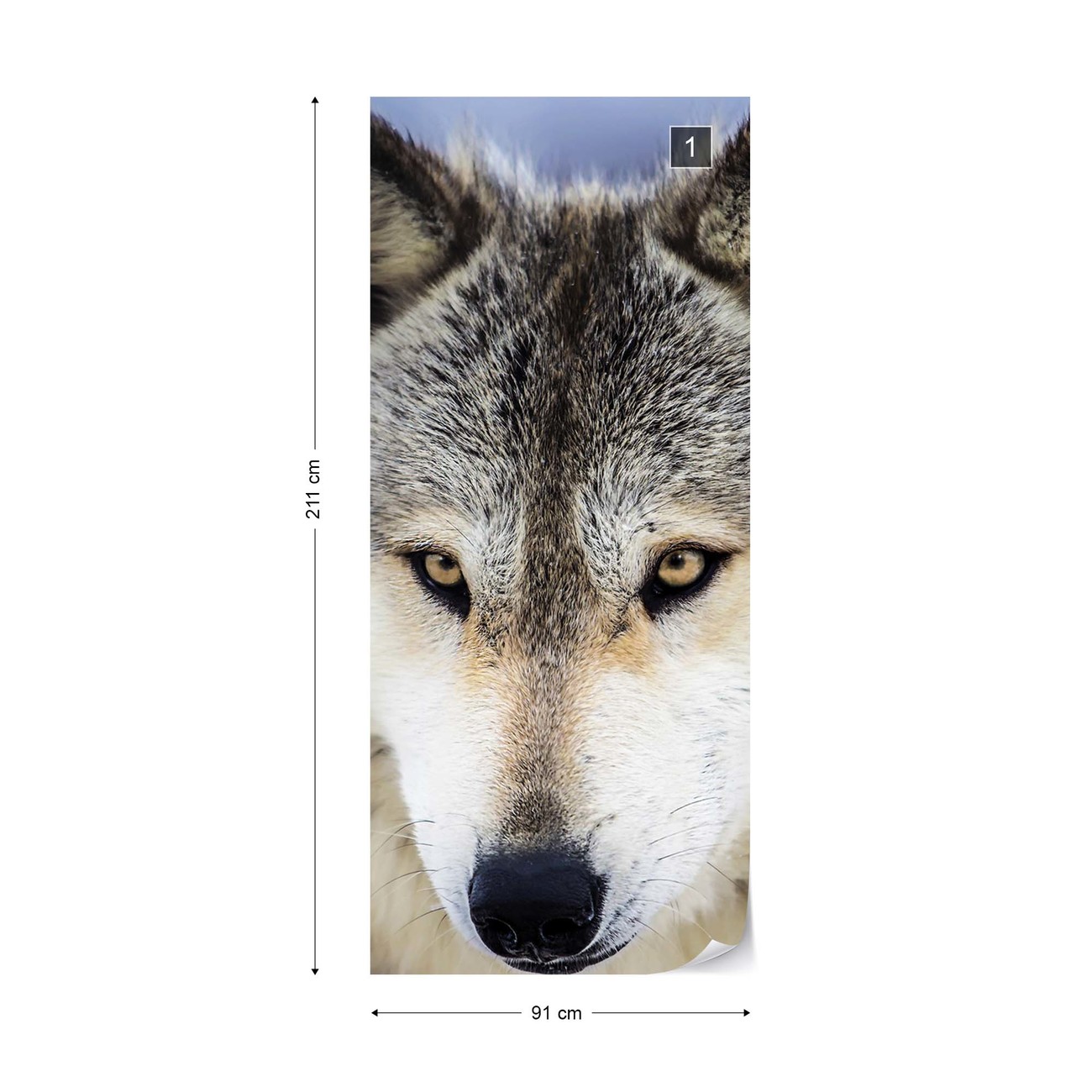Wolf Wall Paper Mural | Buy at EuroPosters